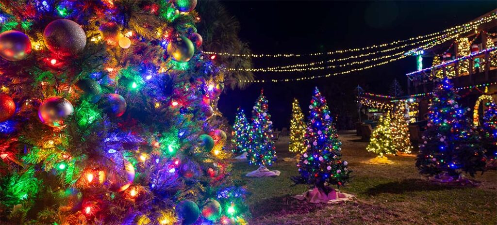 Unique Holiday Experiences in Orlando North 2025